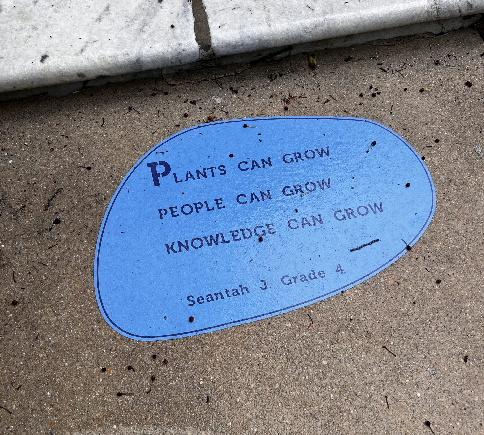 Rain Poetry ‘surprises’ delight community at Vernon Park - PA Humanities